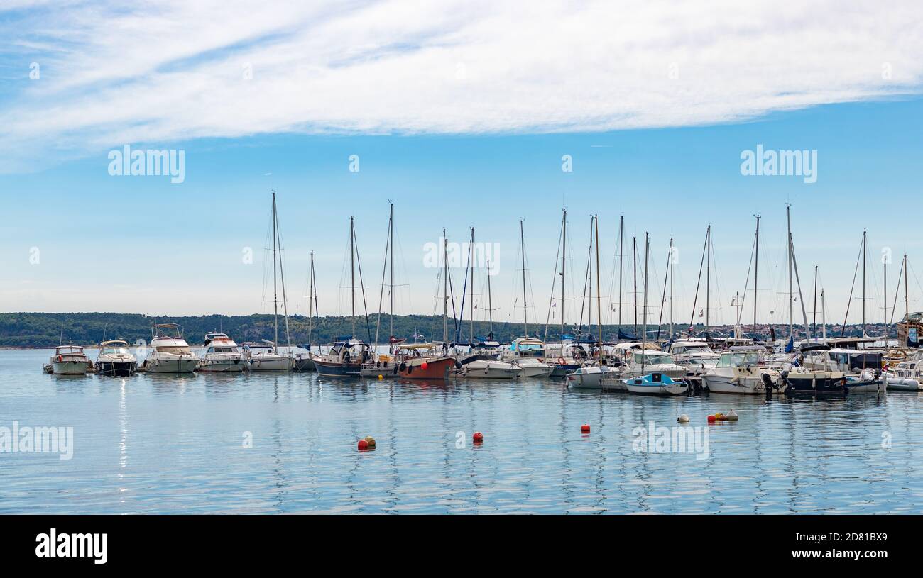 A picture of a group of sailboats and normal boats docked in the marina ...