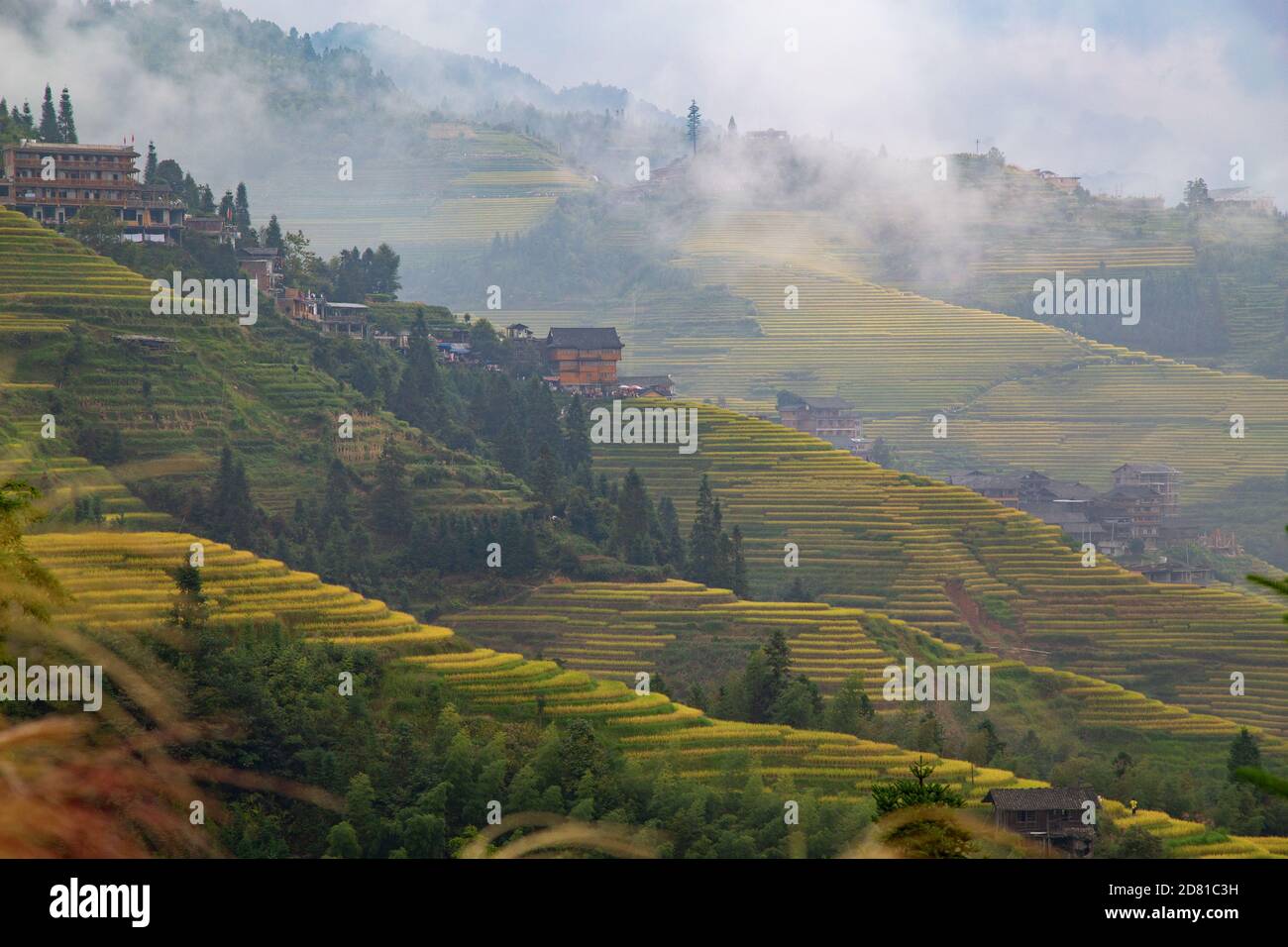 The Longsheng Rice Terraces(Dragon's Backbone) also known as Longji ...