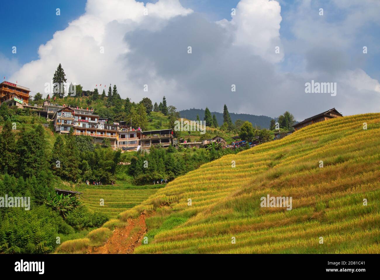 The Longsheng Rice Terraces(Dragon's Backbone) also known as Longji ...