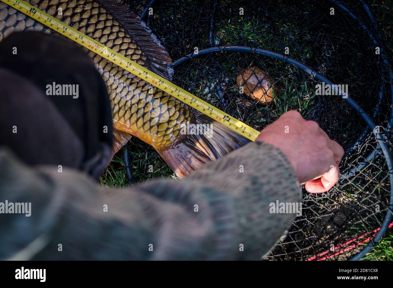 Fish measure hi-res stock photography and images - Alamy
