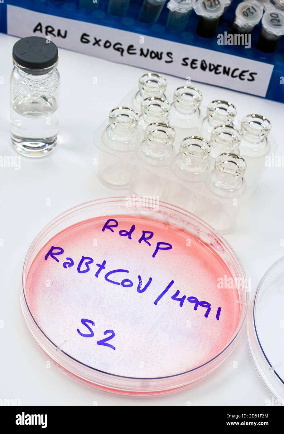 Exogenous RNA sequence study vials on Sars-CoV-2 virus in the ...