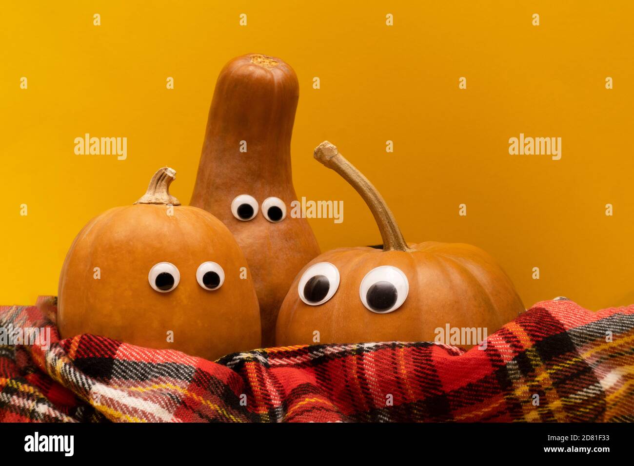 Pumpkin with googly eyes in warm scarf Stock Photo - Alamy