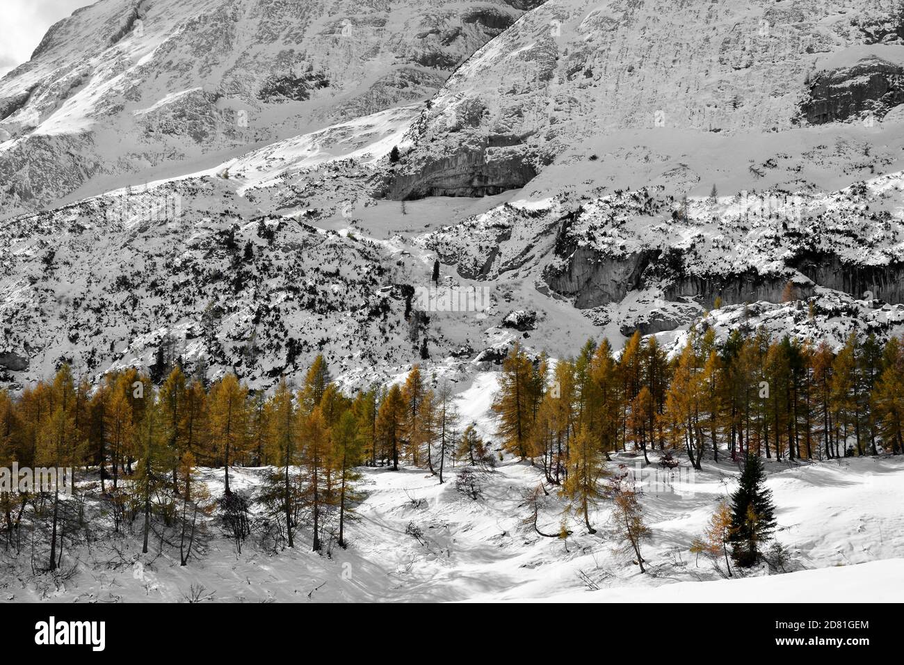 the first snow of autumn Stock Photo - Alamy