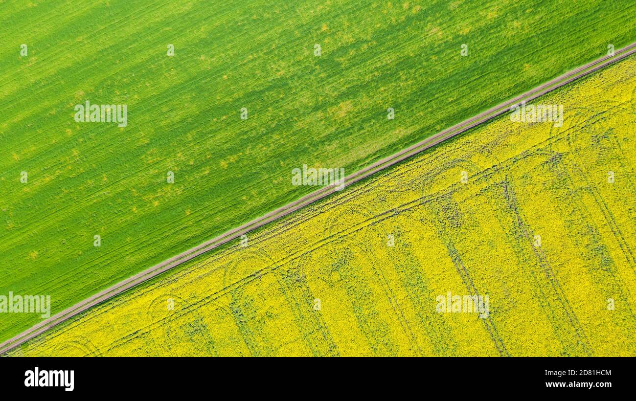 Aerial view of summer fields. Yellow fields from above. Photo captured ...