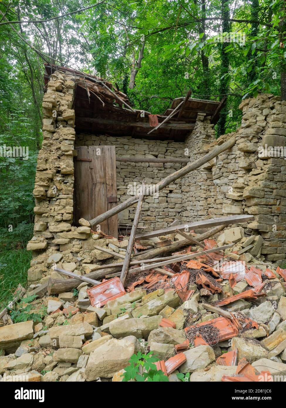 debris and rubble of an old stone house collapsed in the woods ...