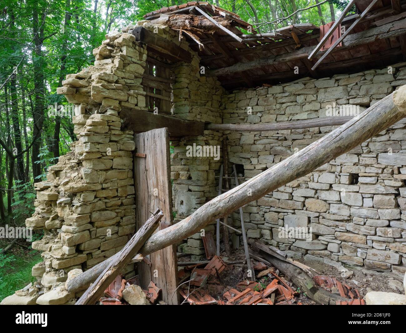 small old stone house in the woods collapsed; debris and rubble ...