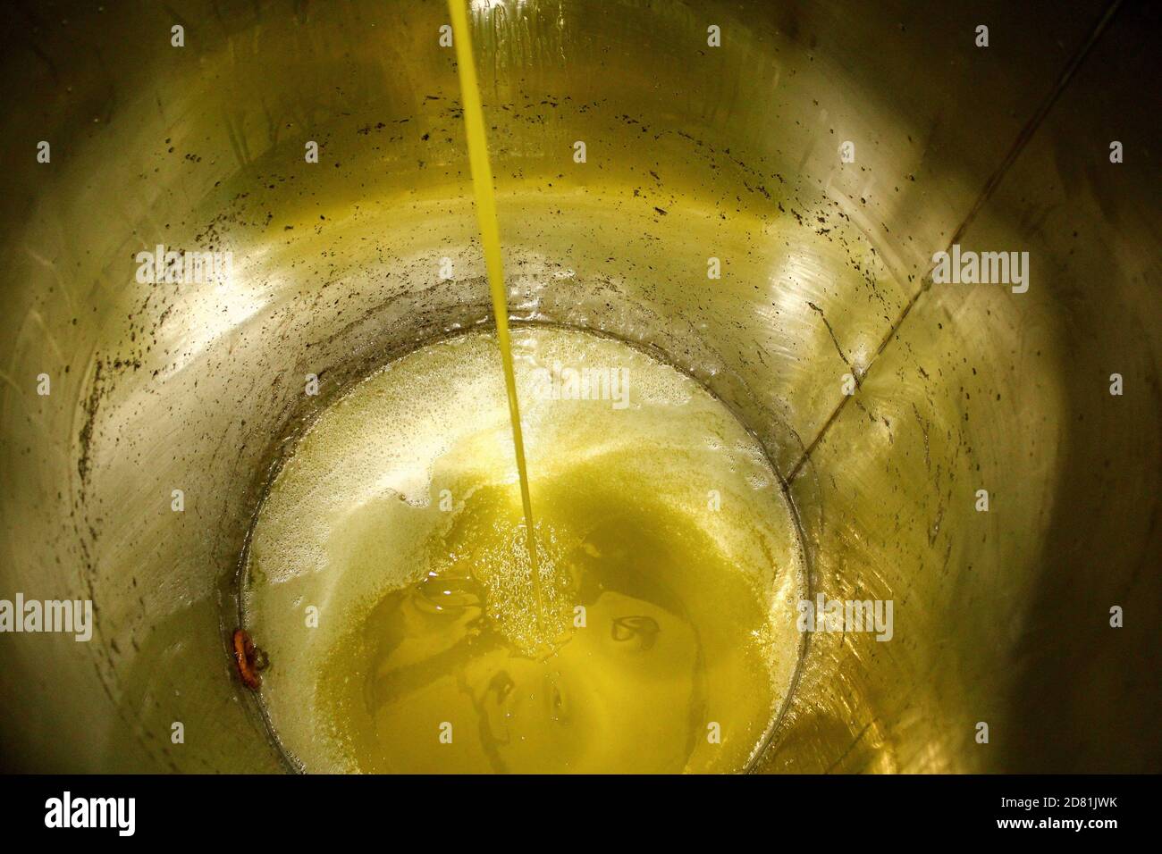 Extra virgin olive oil extraction process in olive oil mill in the ...