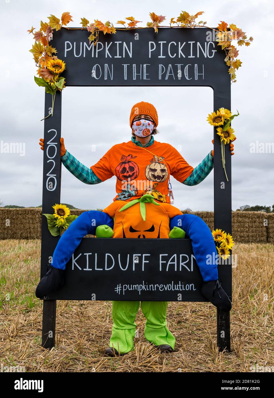 Woman dressed in Halloween costume in pumpkin patch, Kilduff Farm, East ...