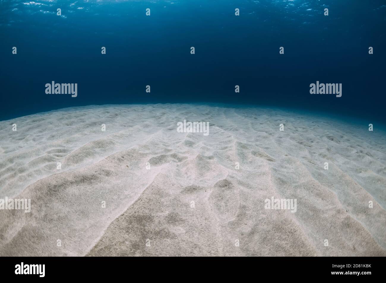 Tropical ocean in the deep with white sandy bottom underwater Stock ...
