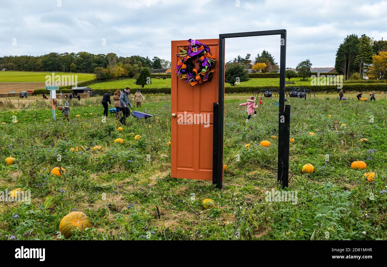 Kilduff farm hi-res stock photography and images - Alamy