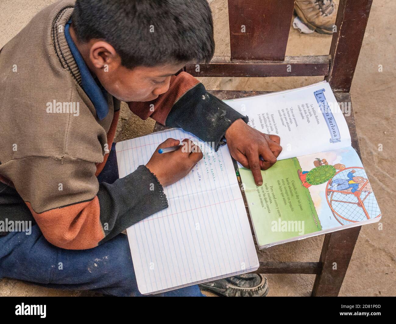 Male primary student studying Stock Photo - Alamy