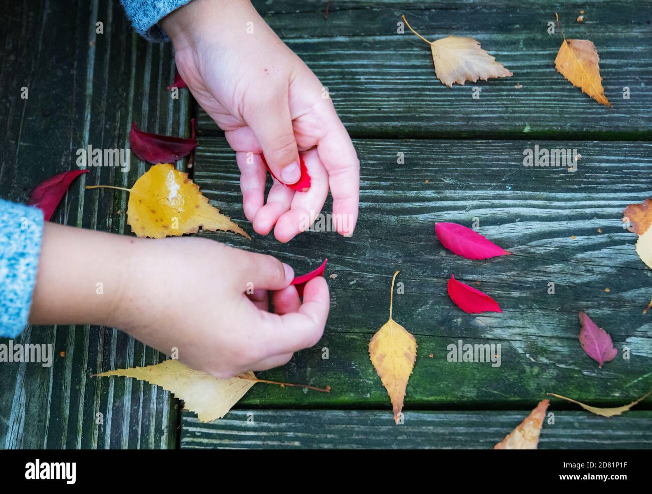 Children leaves fall hi-res stock photography and images - Alamy