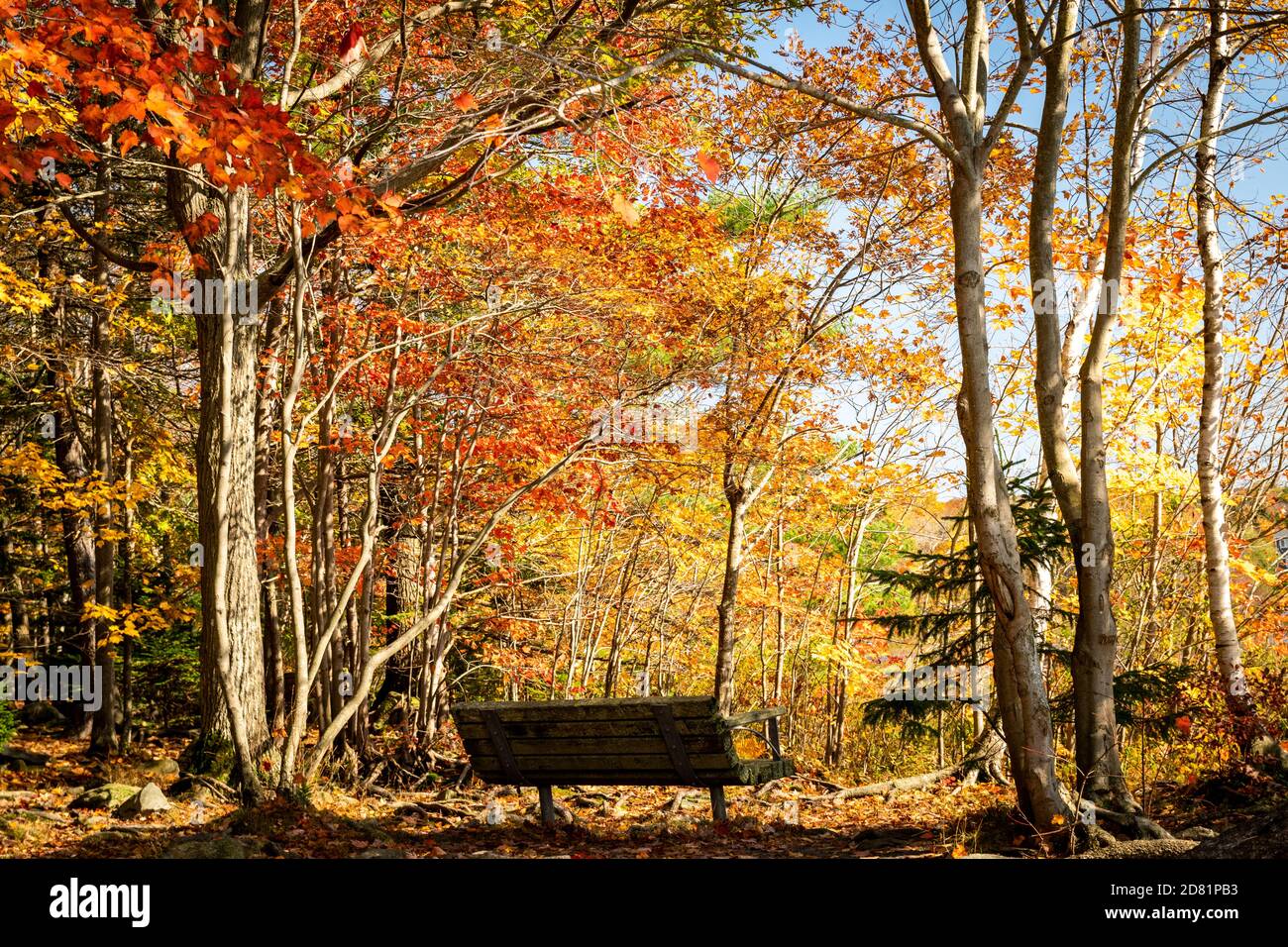 Turning bench hi-res stock photography and images - Alamy