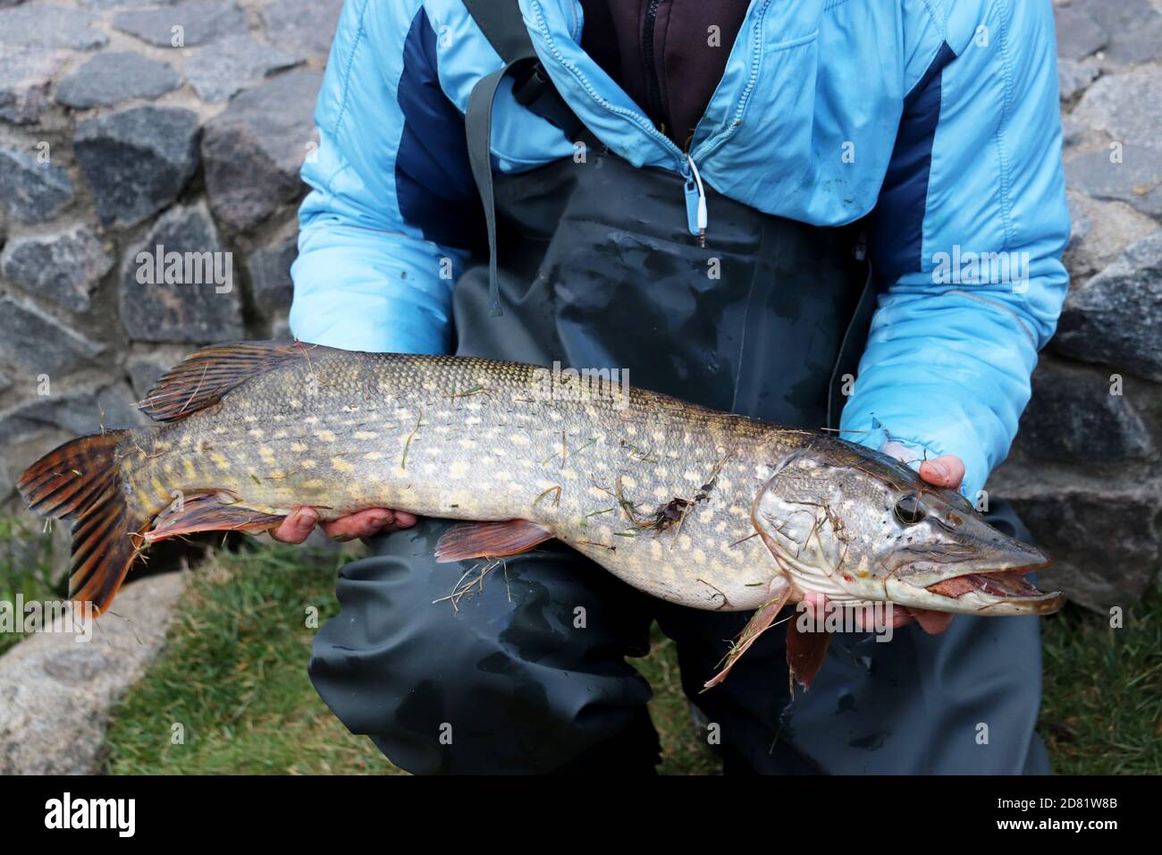 Fish fisherman man male casting hi-res stock photography and images - Alamy