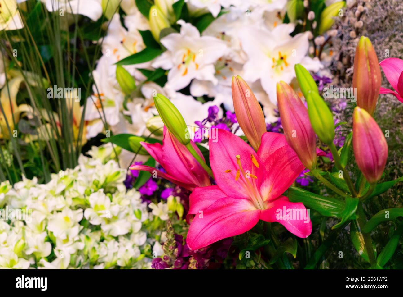 Natural flower background Stock Photo - Alamy