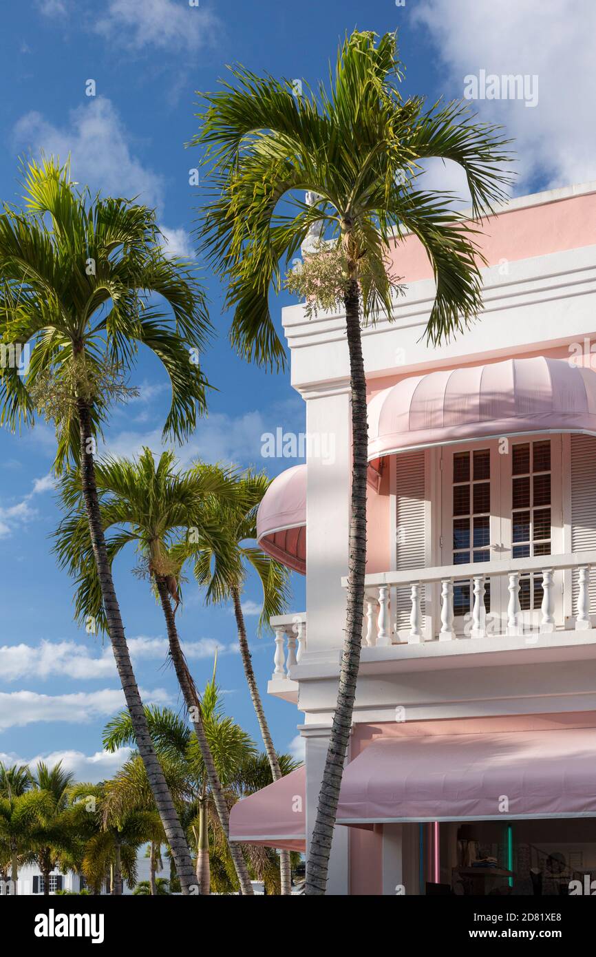 Florida tropical palm trees hi-res stock photography and images - Alamy