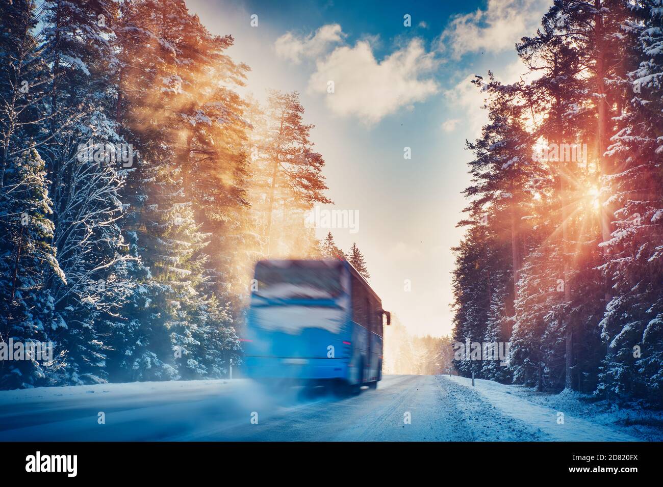 Tour coach bus driver hi-res stock photography and images - Alamy