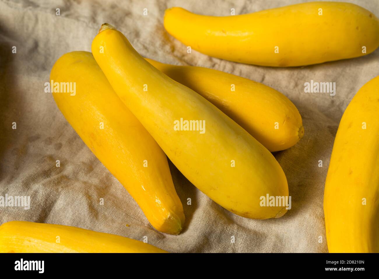 Raw Organic Yellow Zucchini Squash Ready to Cook Stock Photo - Alamy