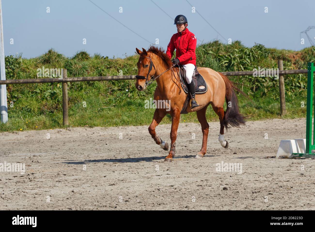 Chestnut horse and rider hi-res stock photography and images - Alamy