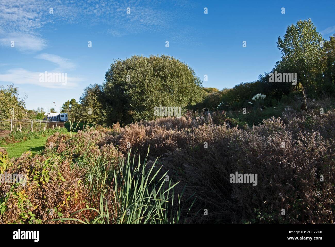 Through the undergrowth near Starcross, Devon runs Staplake Brook Stock ...