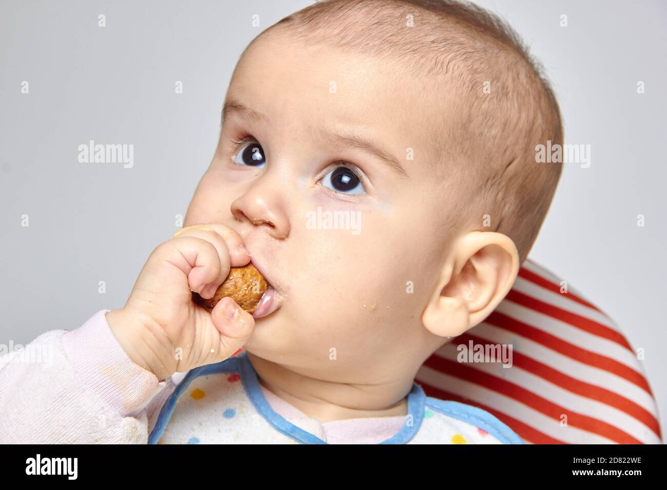 Nibbles teeth hi-res stock photography and images - Alamy