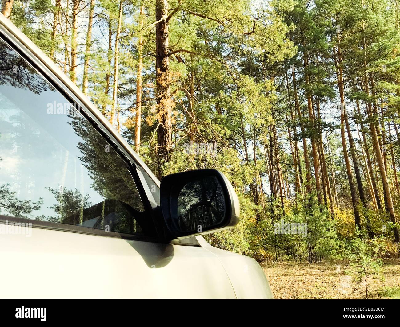 Car on the forest road. Autumn backgrounds Stock Photo - Alamy
