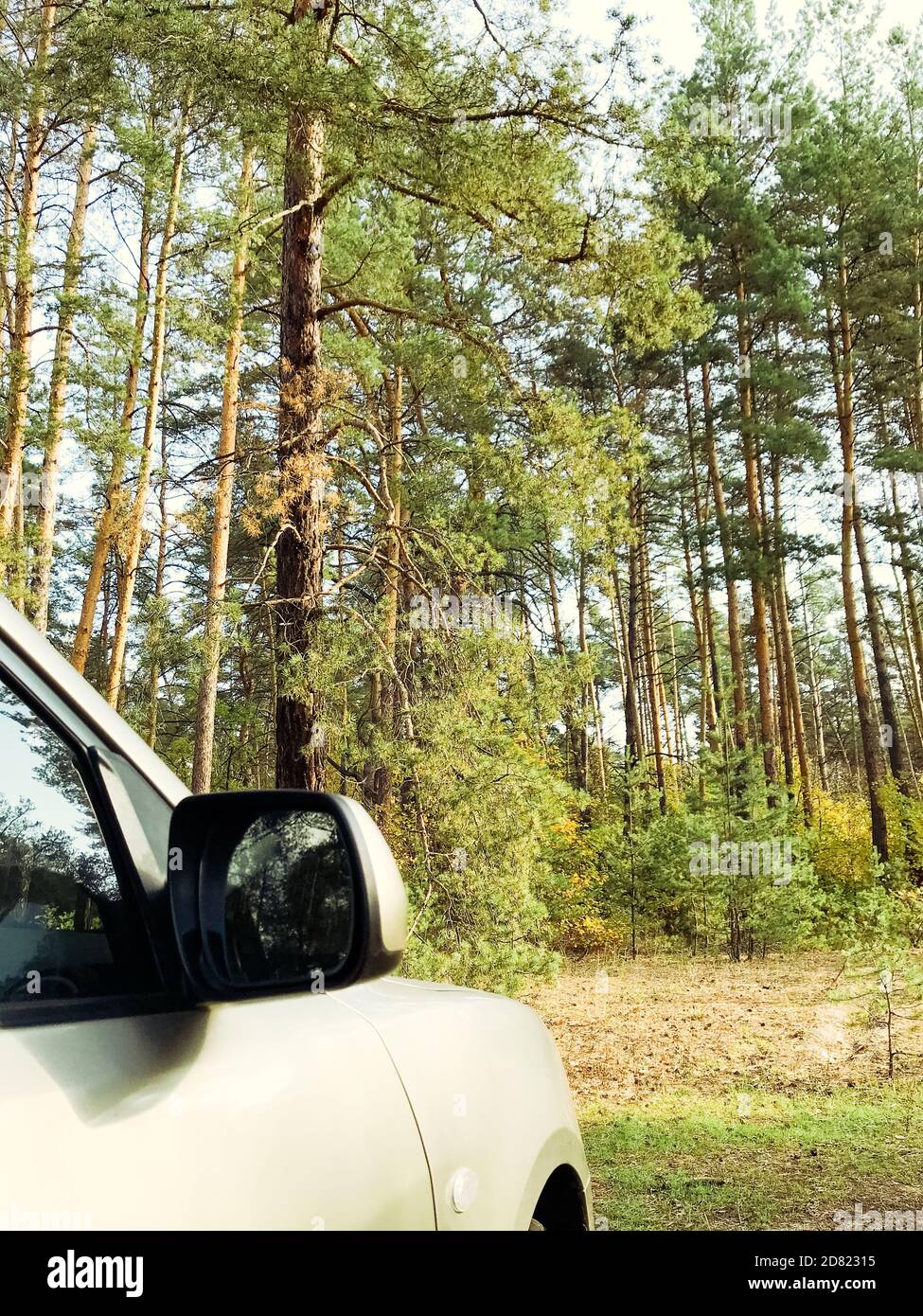 Car on the forest road. Autumn backgrounds Stock Photo - Alamy