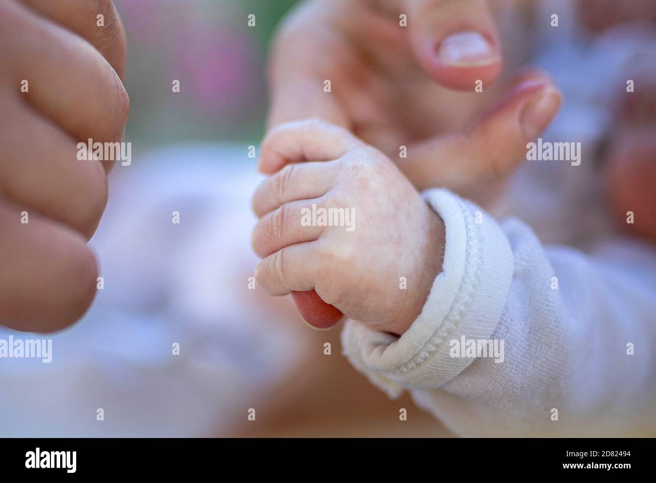 Baby hand holding parent hand. Outdoors. Close up Stock Photo - Alamy