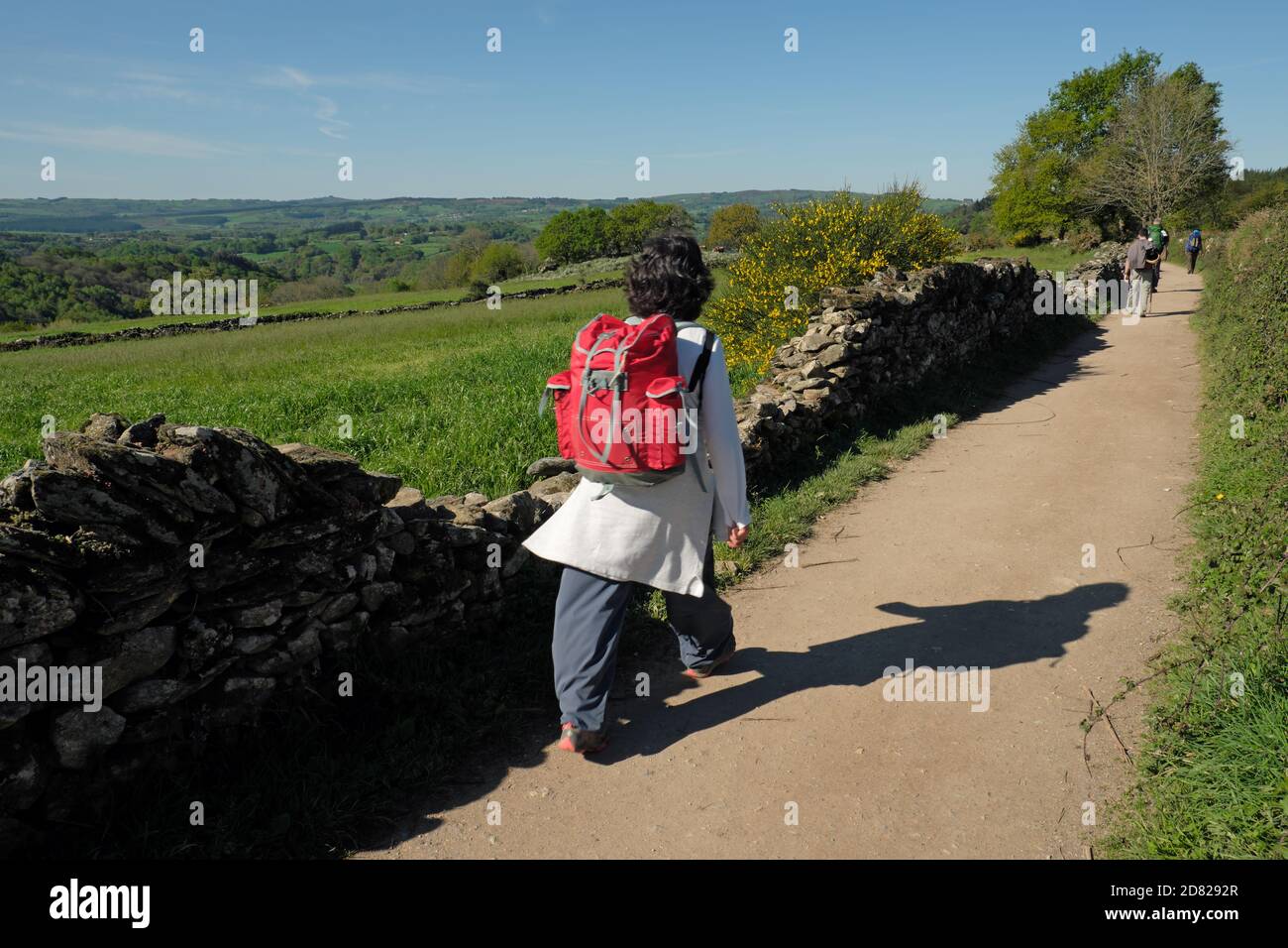 Camino de santiago pilgrim walking hi-res stock photography and images ...