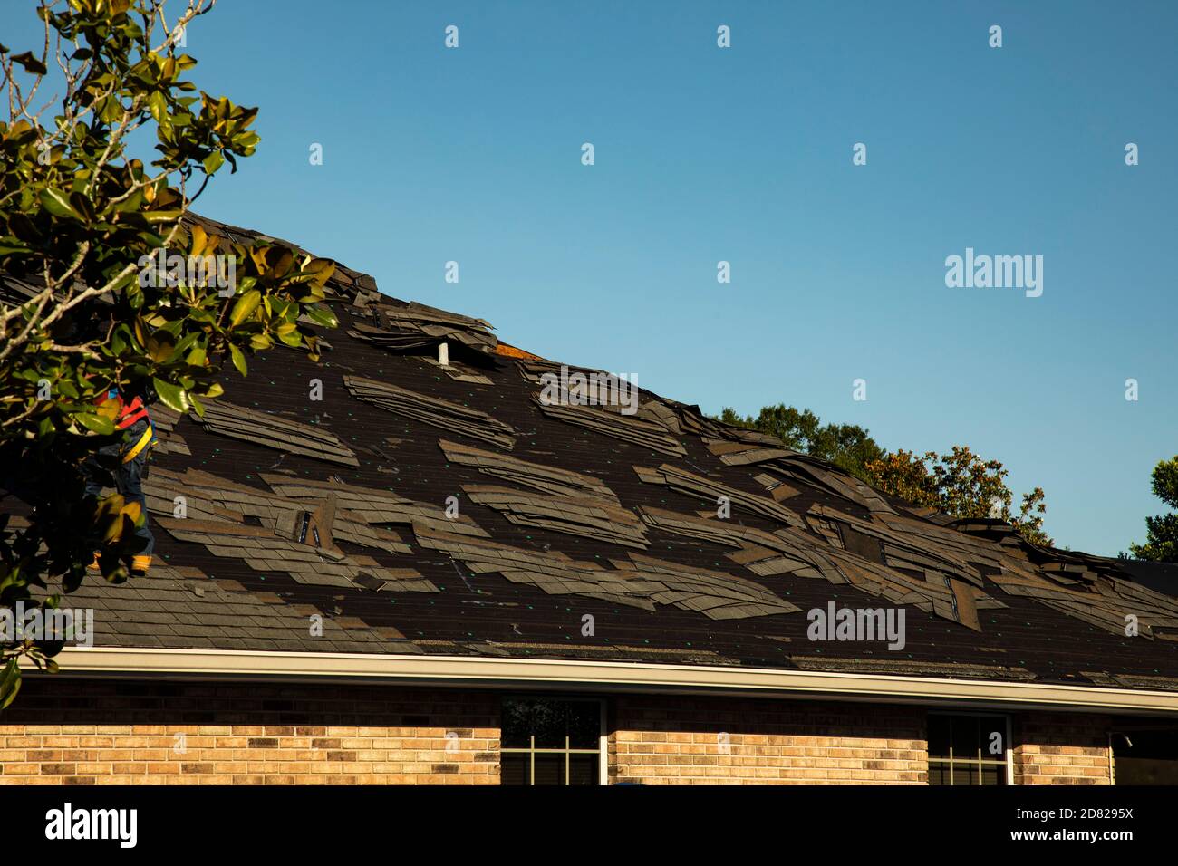 Roofing a home in Florida with new shingles Stock Photo - Alamy