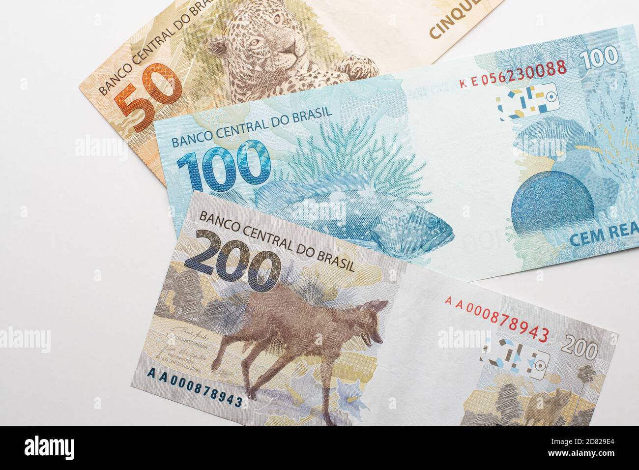 Back of the brazilian banknote with animals printed on it. Brazilian ...