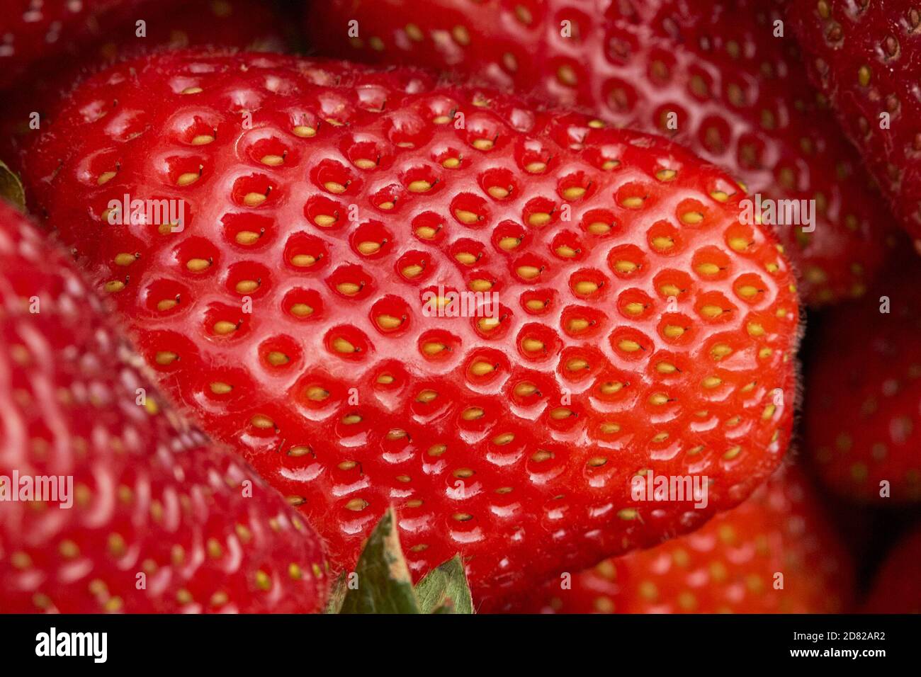 strawberry ripe pure berry close up Stock Photo - Alamy