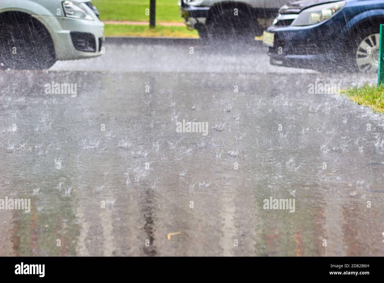 heavy downpour splashes of drops on the asphalt on the background of ...