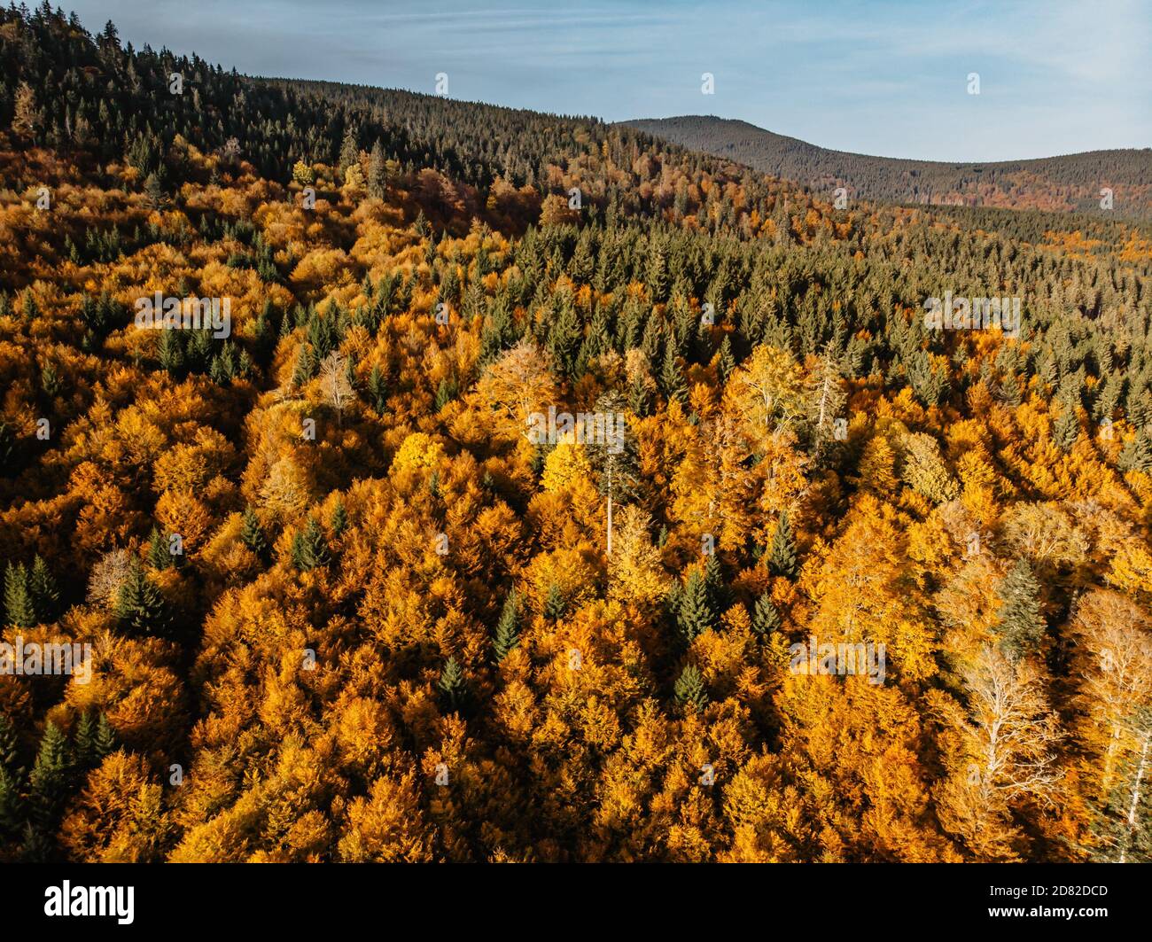 Fall forest landscape view from above. Colorful nature background ...