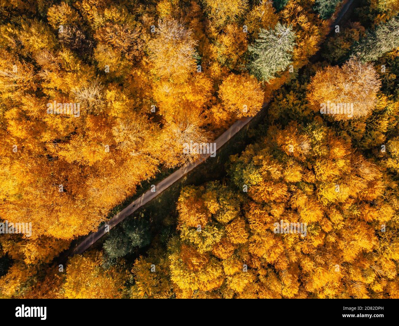 Fall forest landscape view from above. Colorful nature background ...