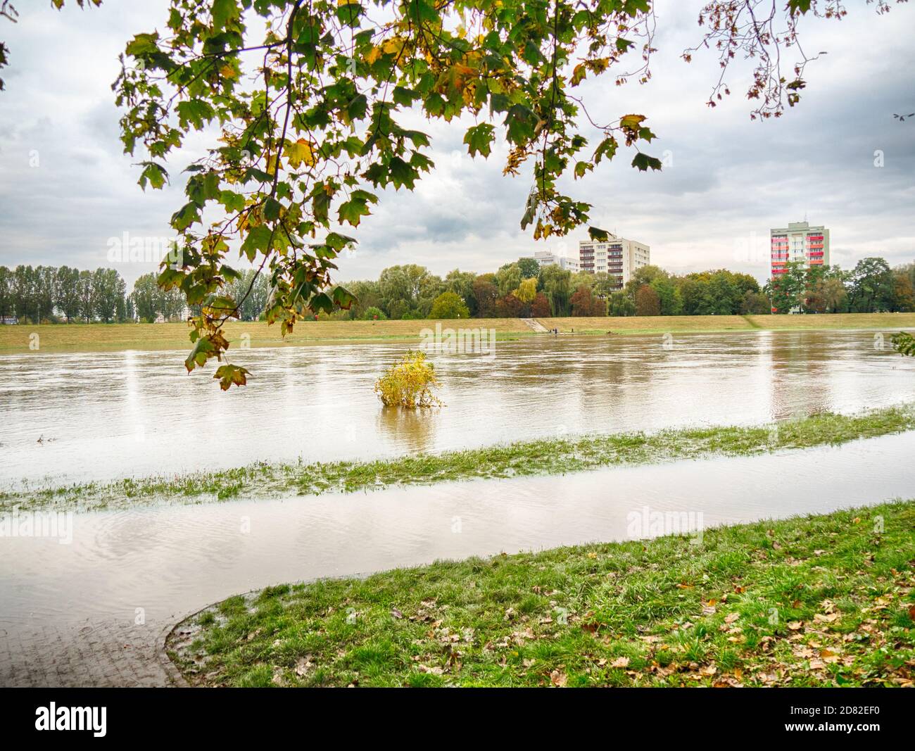 High water level in the river Stock Photo - Alamy