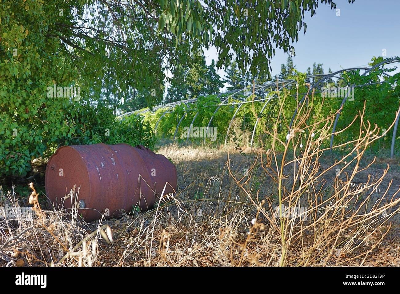Dump with plastic garbage in the fields, nature pollution with plastic ...