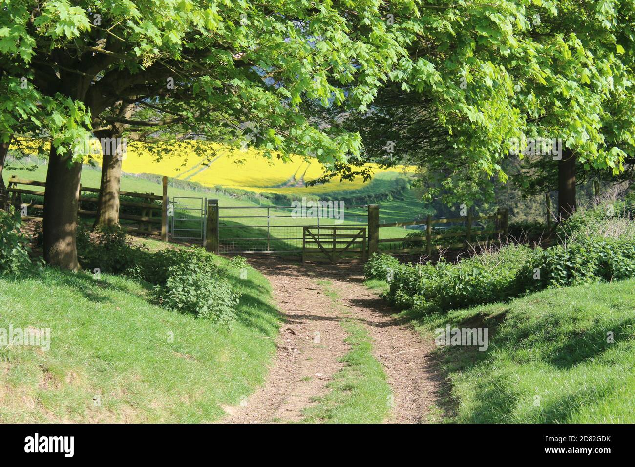Cotswold view hi-res stock photography and images - Alamy