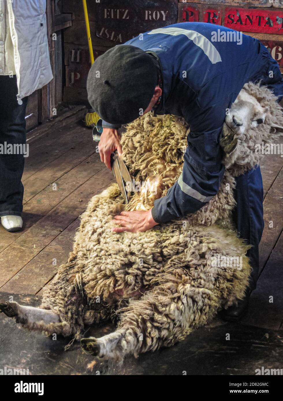 Chile punta arenas ranch hi-res stock photography and images - Alamy