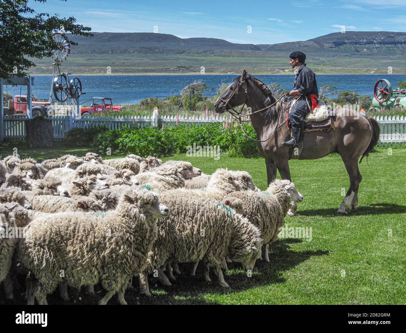 Sheep ranch patagonia hi-res stock photography and images - Alamy