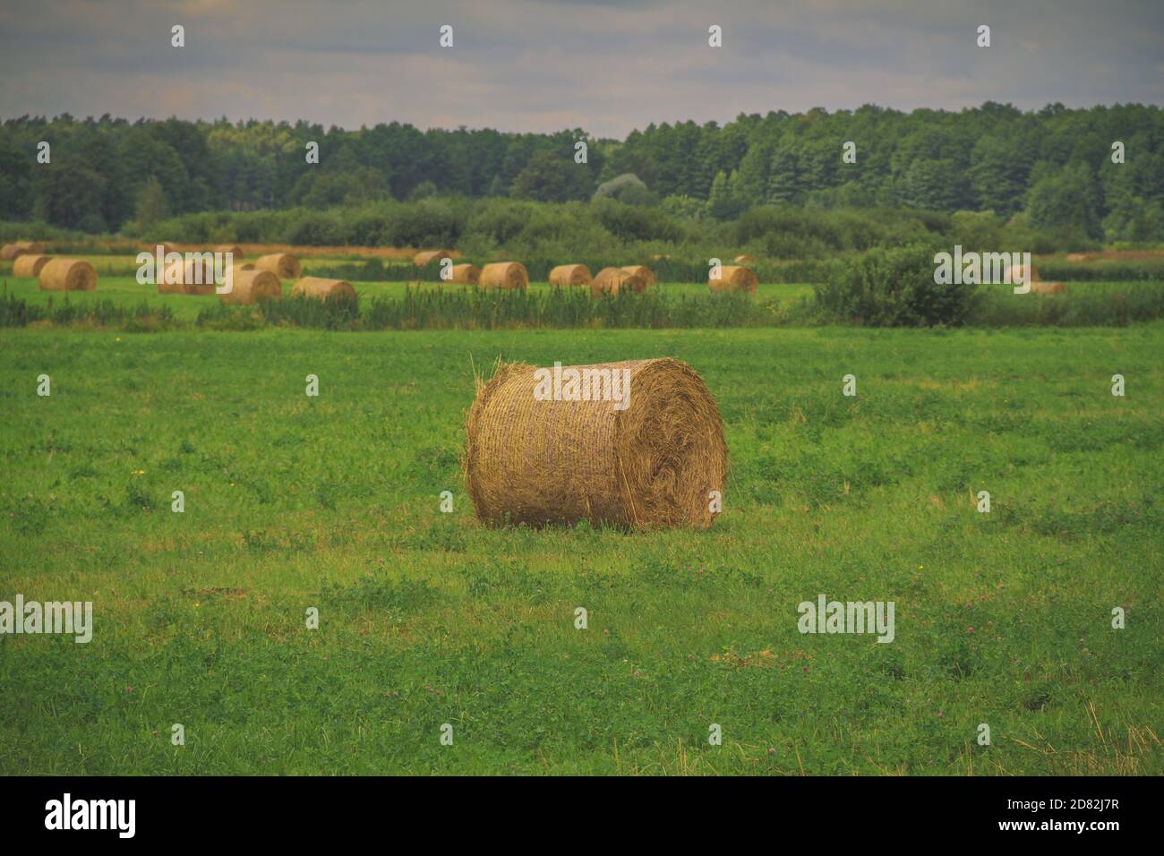 Straw bale rolls hi-res stock photography and images - Alamy