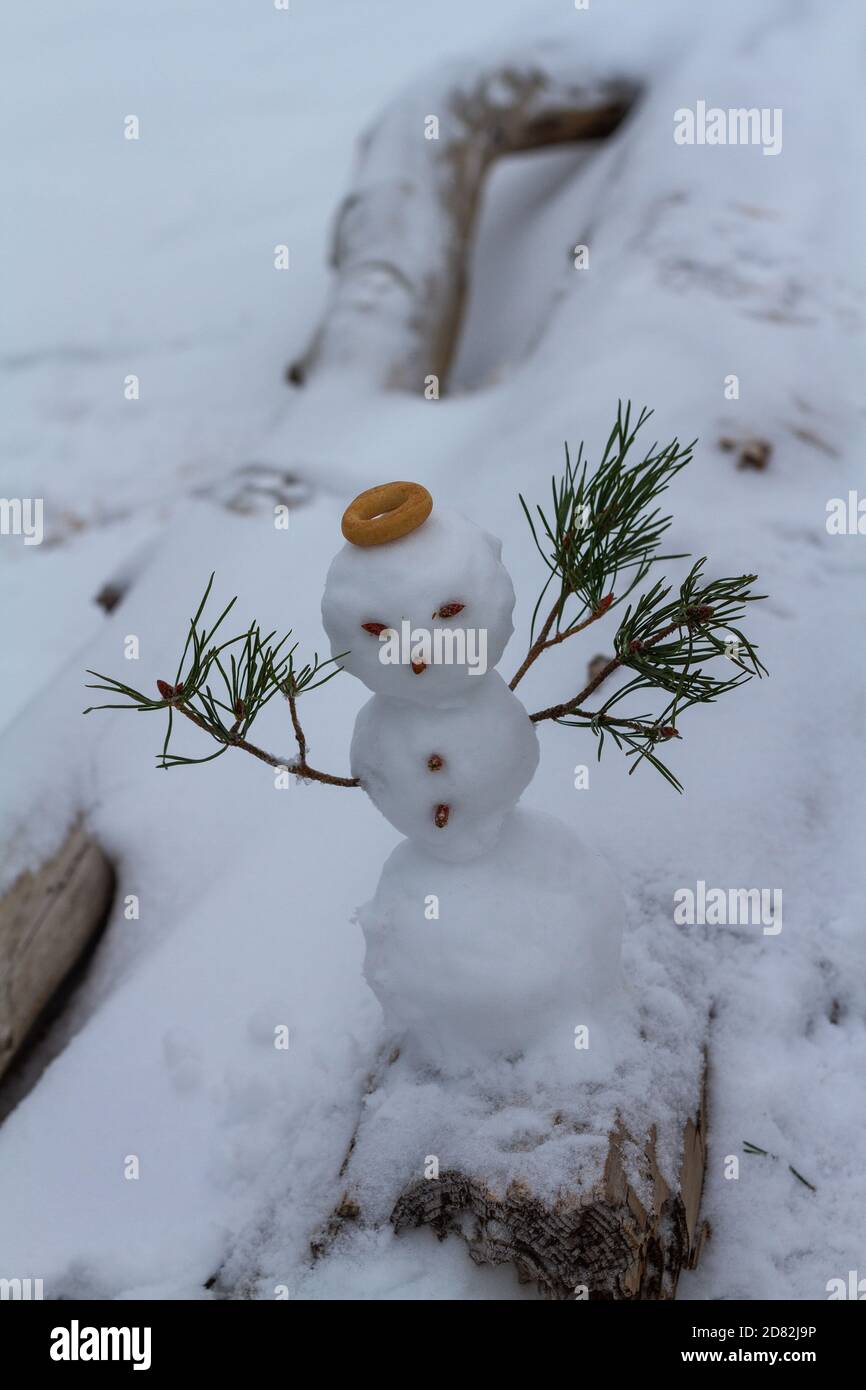 Snowman tree hands hi-res stock photography and images - Alamy