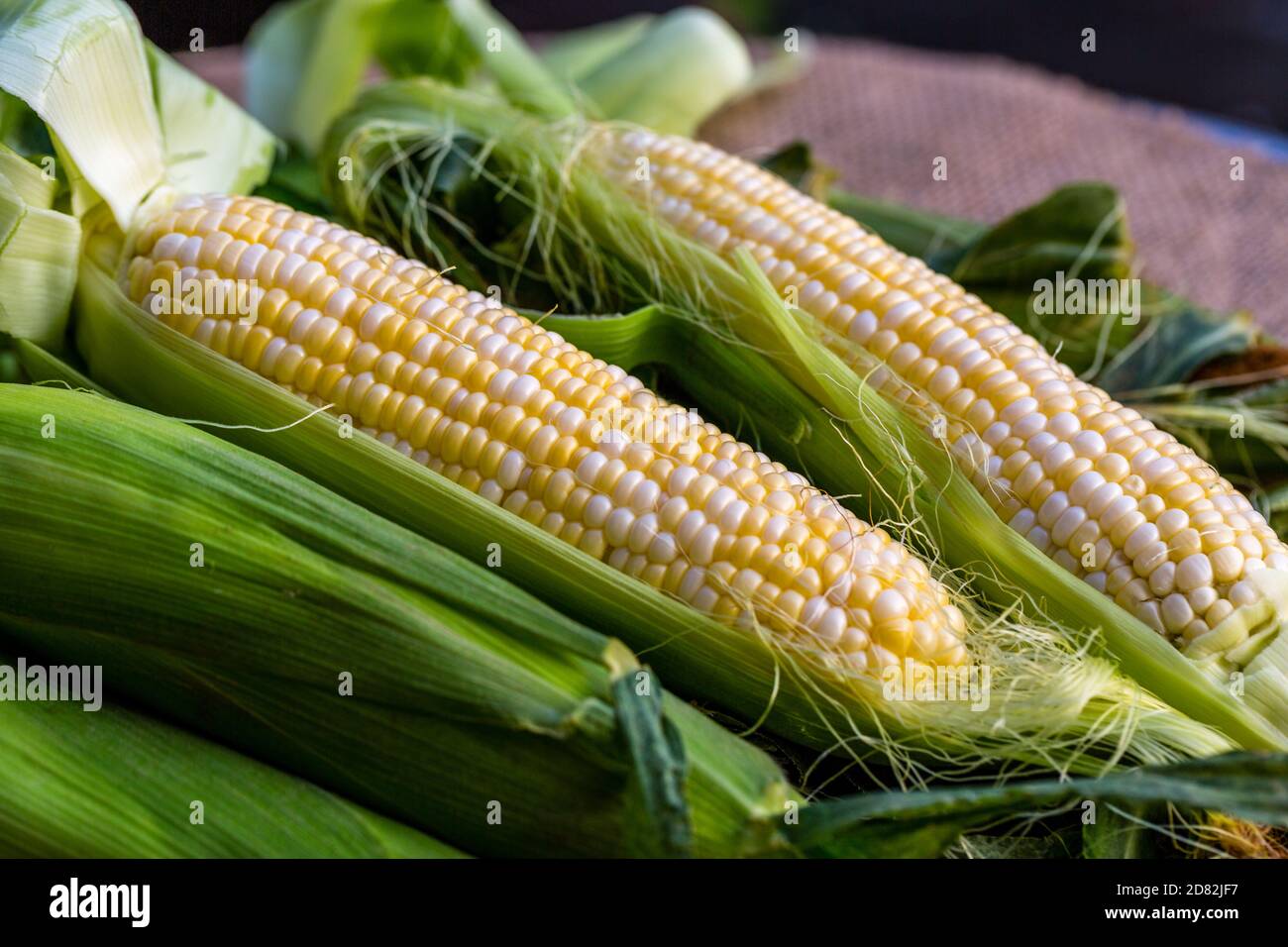 Fresh Sweet Corn Stock Photo - Alamy