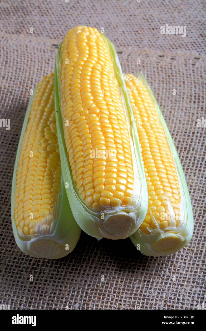 Fresh Sweet Corn Stock Photo - Alamy