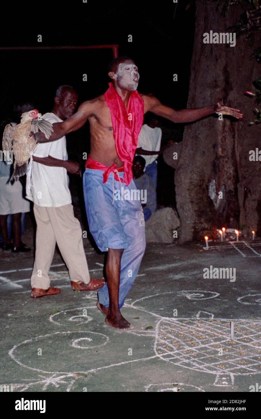 Voodoo ceremony in Haiti : voodoo priest dancing with a sacrificial ...