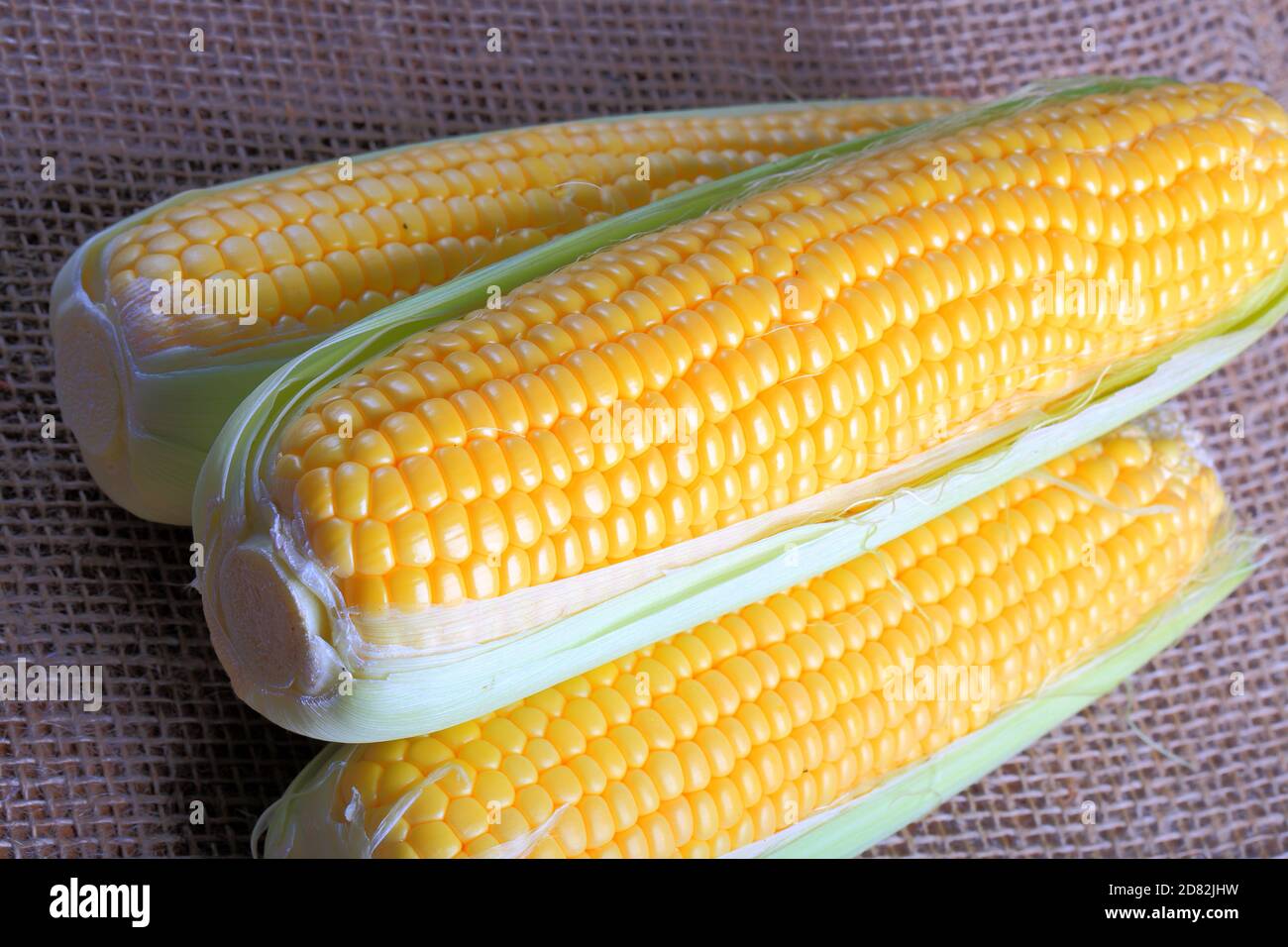 Genetic Corn High Resolution Stock Photography and Images - Alamy
