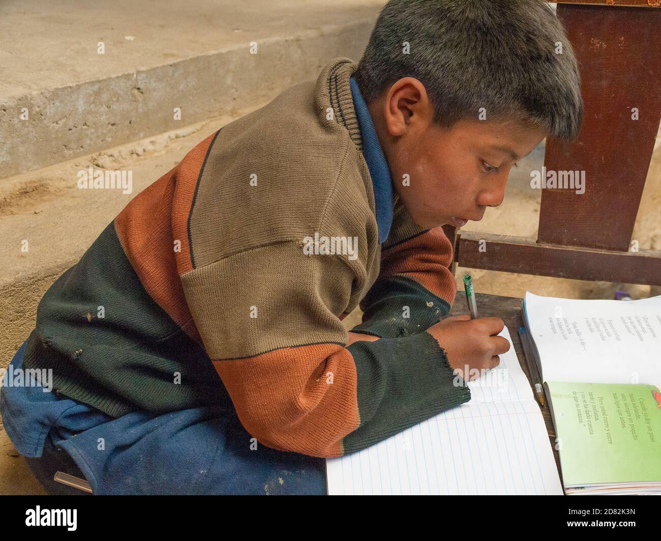 Male primary student studying Stock Photo - Alamy
