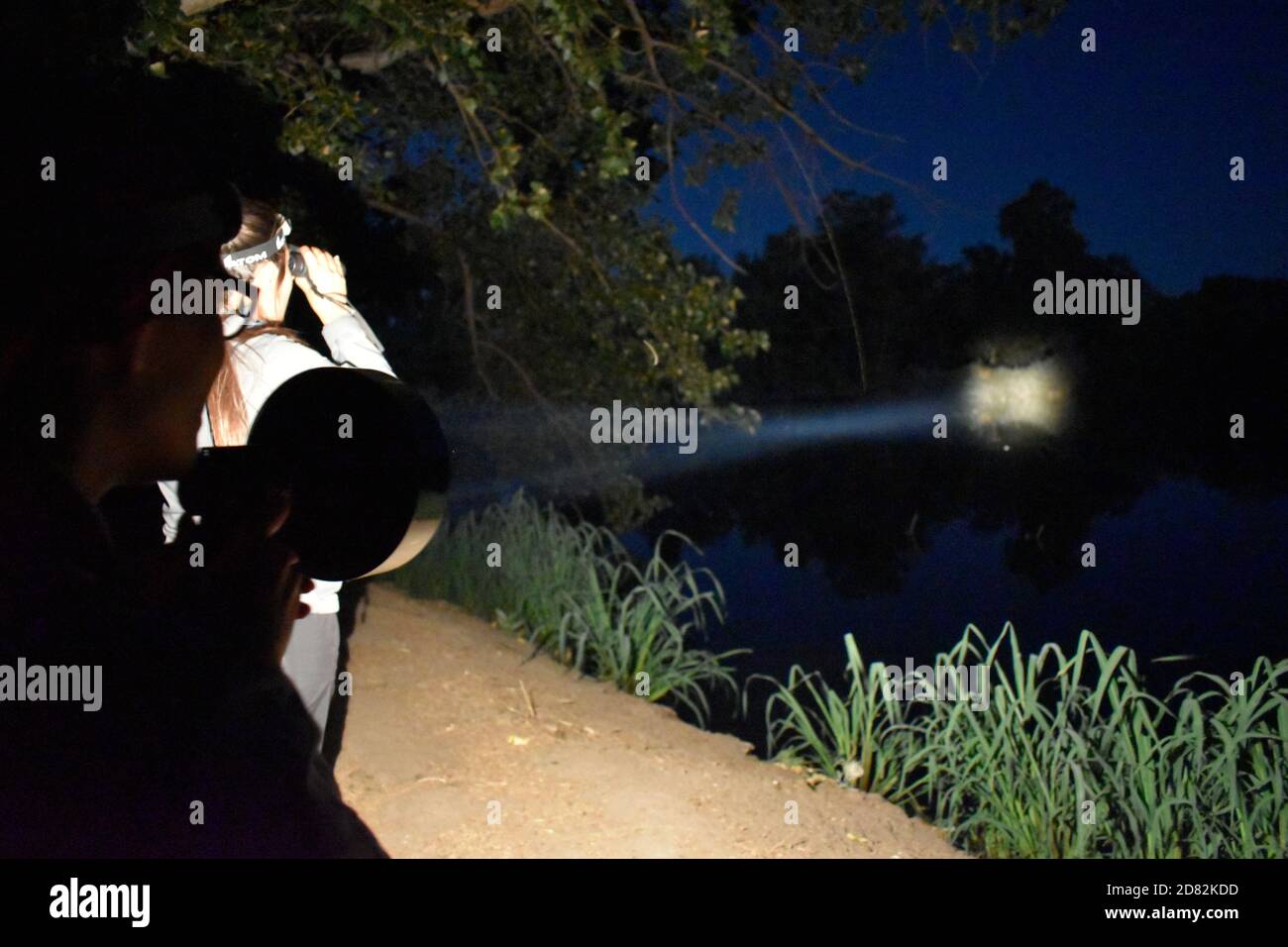 Wildlife spotlight hi-res stock photography and images - Alamy