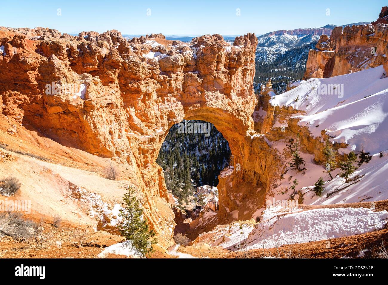 Natural bridge state park sandstone hi-res stock photography and images ...