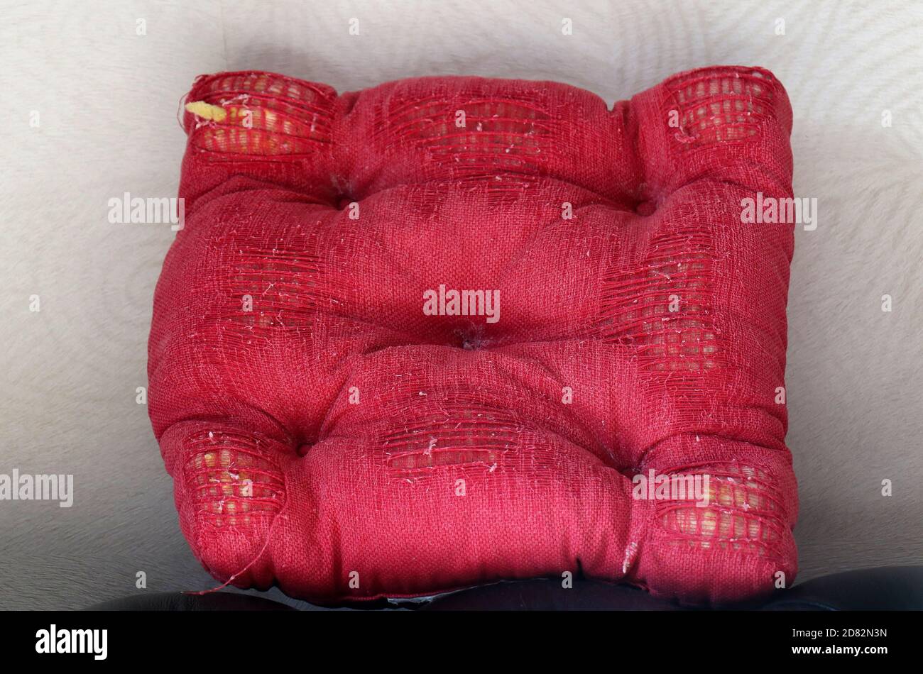 Shredded textile red pillow destroyed by pet dog Stock Photo - Alamy